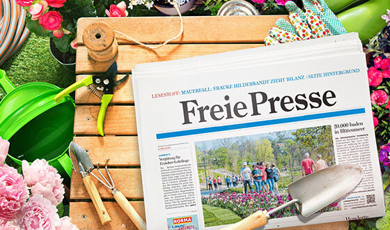 Die Zeitungsangebote für Neukunden der Freie Presse